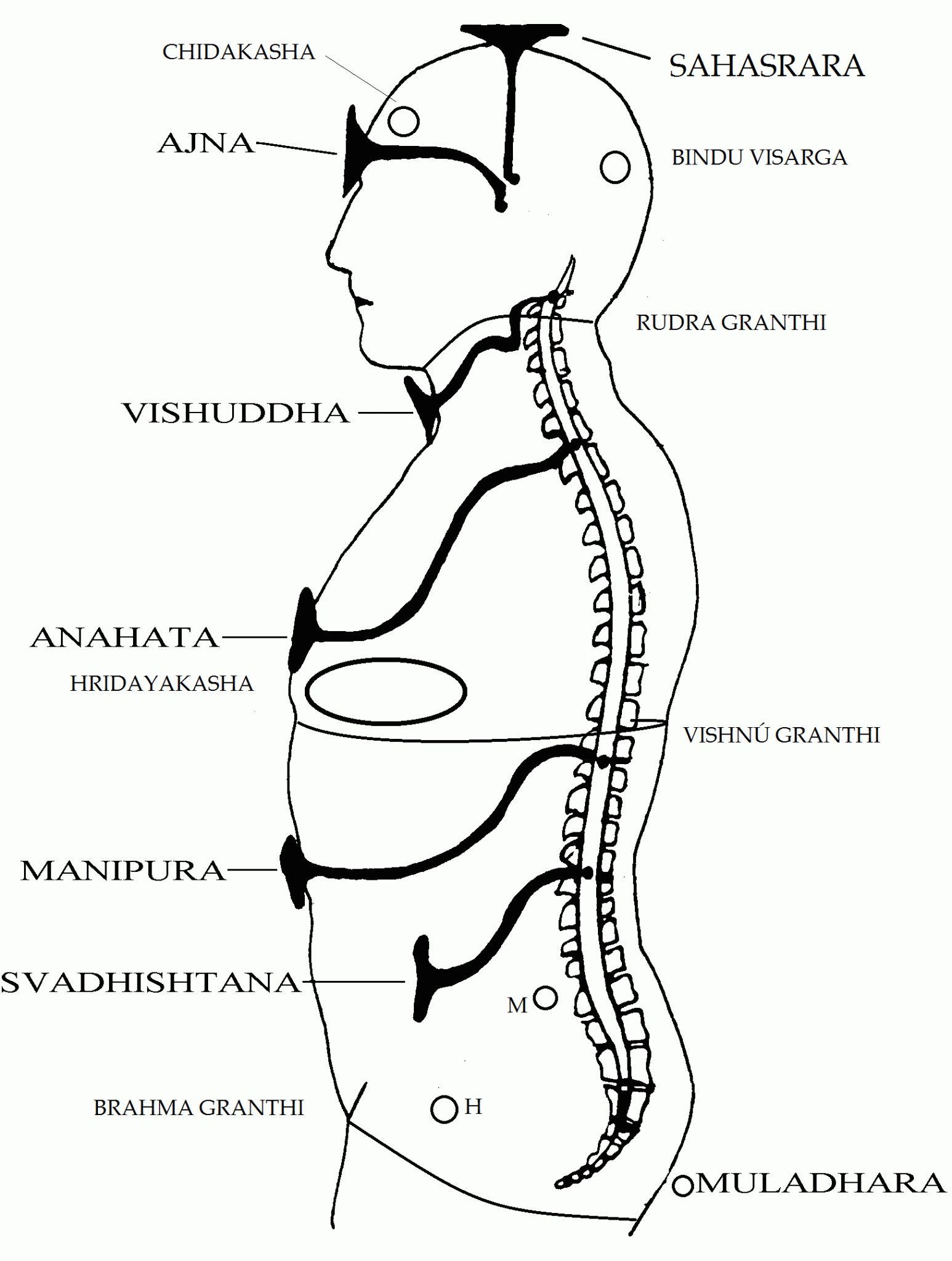 la naturaleza tantrica de la mujer | Tantra México